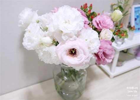 꽃정기구독 리시안셔스 꽃말 싱싱한 생화택배 오후의꽃 네이버 블로그