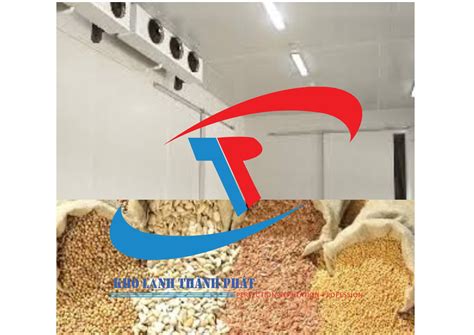 Kho L Nh T I Vi T Nam T Ng Quan Th Tr Ng Kho L Nh