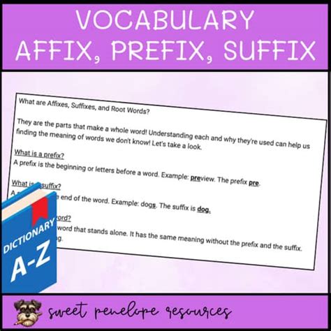 Freebie Affix Prefix And Suffix Vocabulary By Sweet Penelope Resources
