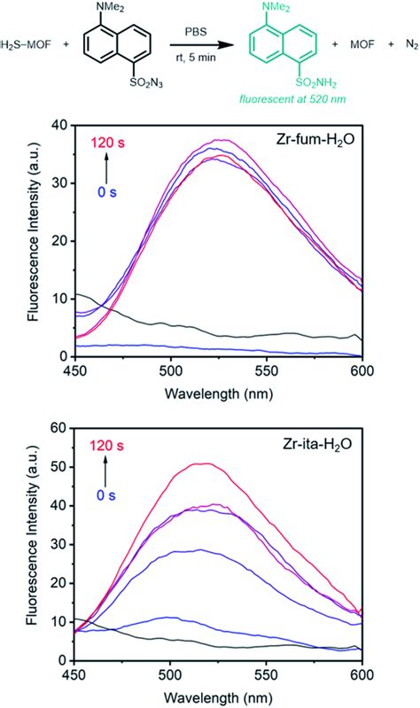 Fluorescence Assay Excitation At 340 Nm Using The Turn On Download Scientific Diagram