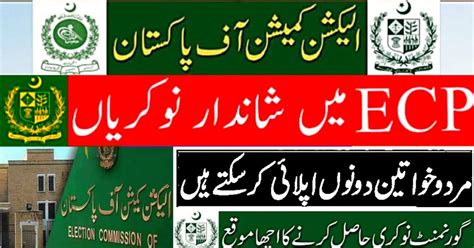 Ecp Jobs 2023 Election Commission Of Pakistan Apply Online At Jobs