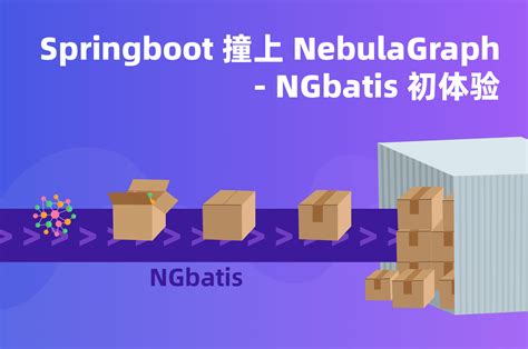 Springboot 撞上 NebulaGraphNGbatis 初体验