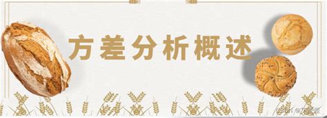【spss】交叉设计方差分析和协方差分析详细操作教程（附案例实战）协方差分析spss实例 Csdn博客