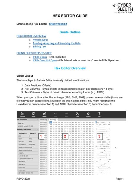 Hex Editor Guide Pdf Computer File File Format