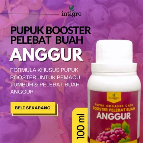 Jual Restoe Pupuk Anggur Agar Cepat Berbuah Lebat Pelebat Buah