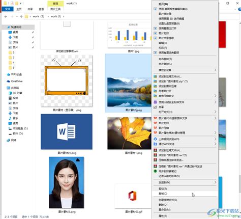 Ppt怎么插入图片 Ppt中插入图片的方法教程 极光下载站