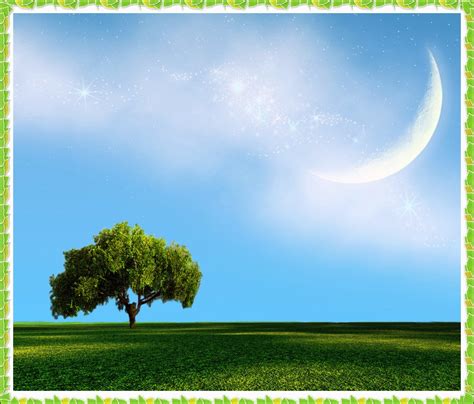 Фото солнечный день