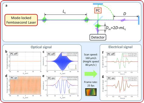 Schematic Of The L C Scanning Interferometer With A Phase Compensator Download Scientific