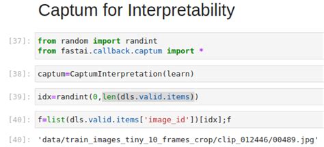 Resolving Import Error And Configure Captum For Multi Label