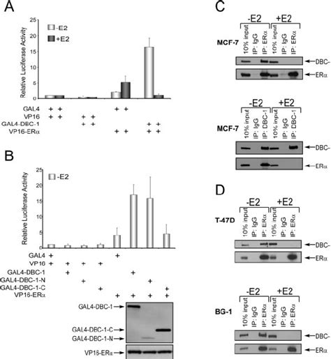 DBC 1 And ER Interact In Vivo In A Ligand Independent Manner A B Download Scientific