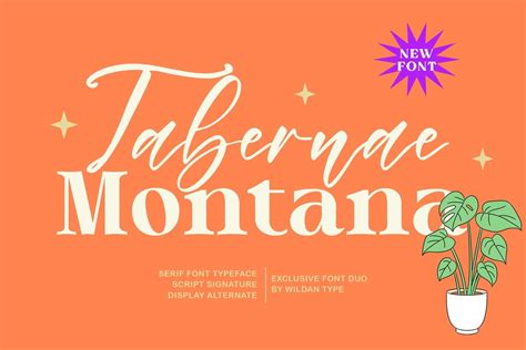 Tabernae Montana Script Font Xfonts Pro