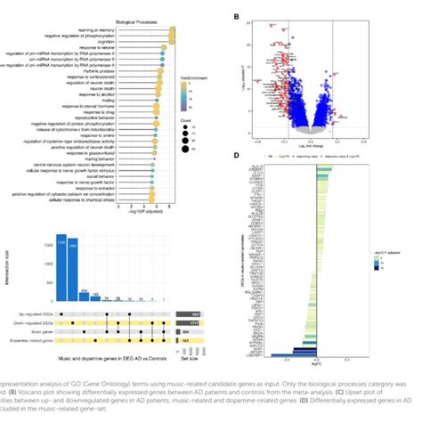 A Clustering Dendrogram Of Genes And Co Expression Consensus Modules