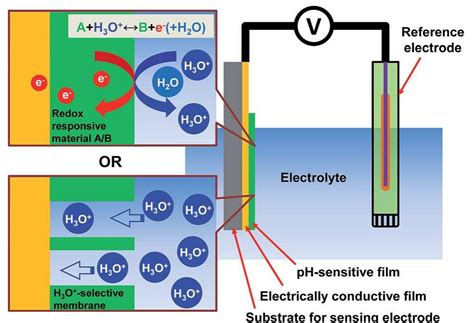 Schematic Of A Potentiometric Ph Sensor And Its Possible