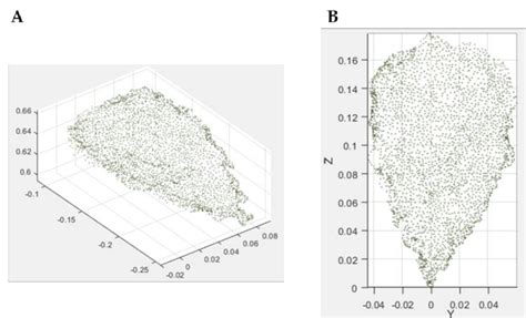 Application Of Transformation Algorithm For Automatic Measurement A