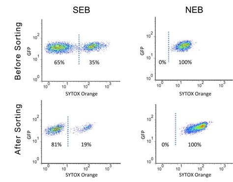 facs based purification of arabidopsis microspores sperm cells and vegetative nuclei plant