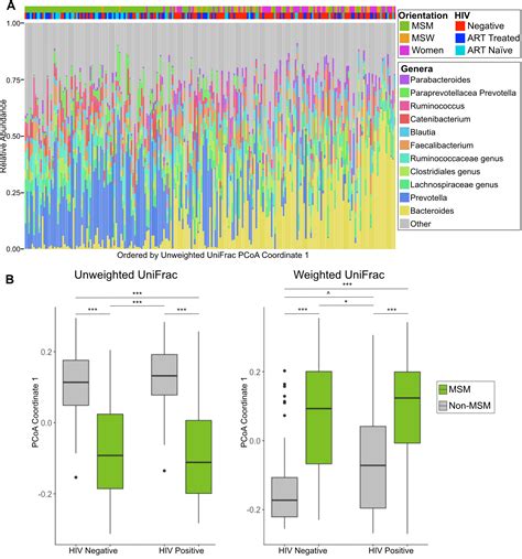 An Exploration Of Prevotella Rich Microbiomes In Hiv And Men Who Have Sex With Men Pmc