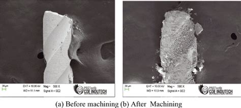 Sem Analysis Of Tool Download Scientific Diagram