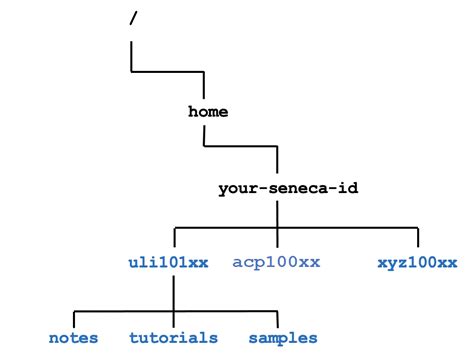 Tutorial 1b Unix And Linux File Management Ops145 Introduction To Unixlinux And The Internet