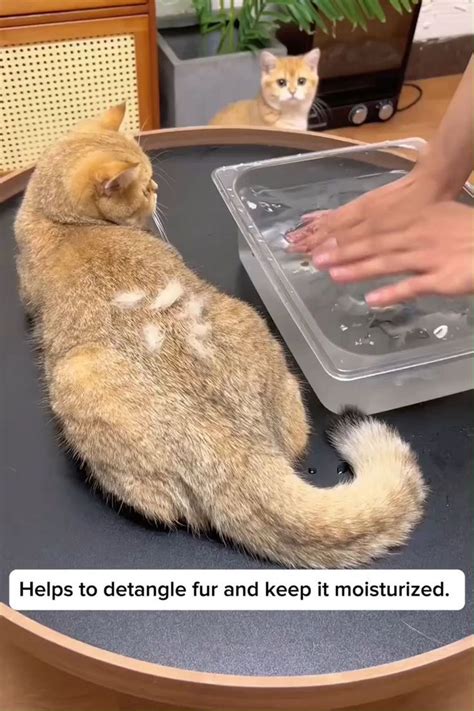 900 Microsoft Excel Ideas In 2025 Microsoft Excel Excel Machining