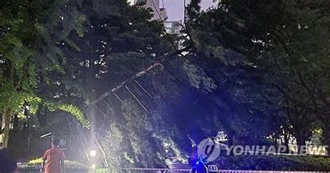 파주 문산 시간당 100㎜…경기북부 8개 시·군 호우특보 종합