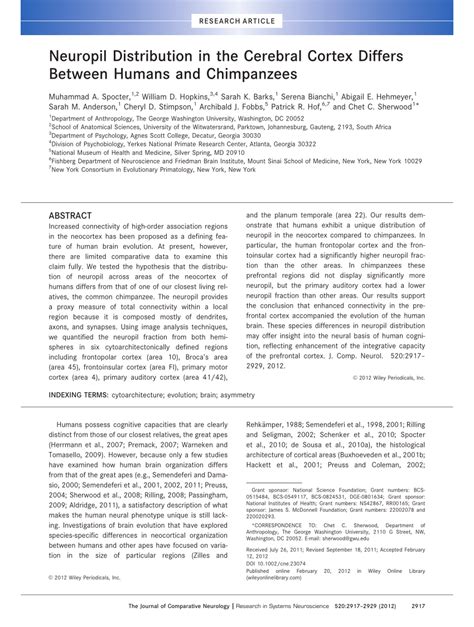 Pdf Neuropil Distribution In The Cerebral Cortex Differs Between Humans And Chimpanzees