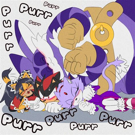 Shadow The Hedgehog Blaze The Cat Big The Cat And Honey The Cat Sonic Drawn By