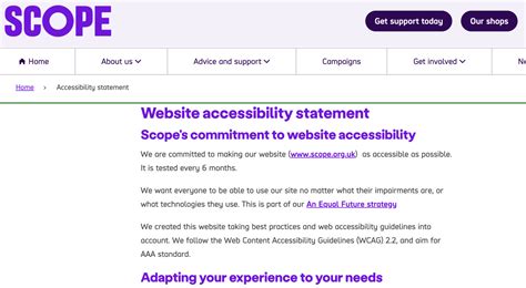 Top 15 Examples Of Accessibility Websites BrowserStack
