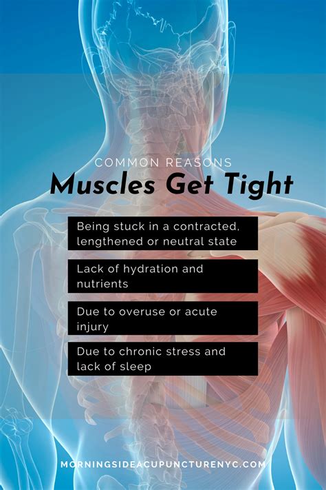 Anterior Tibialis Trigger Points How To Treat Them With Acupuncture Artofit Anterior Tibialis Trigger Points How To Treat Them With Acupuncture Artofit