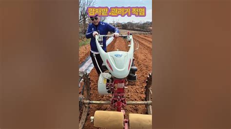 감자밭 관리기비닐작업 Youtube