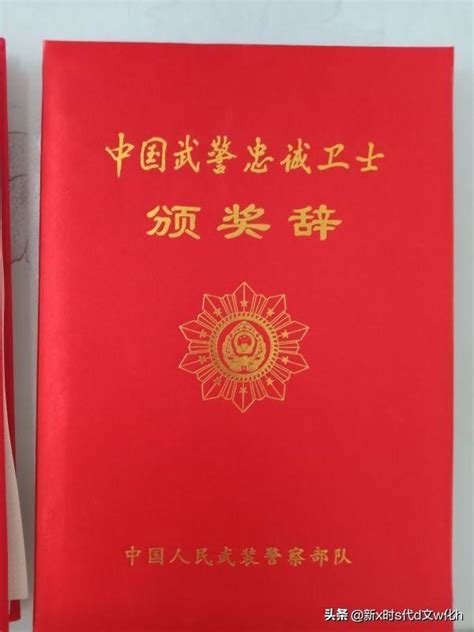 致敬緬懷前行——武警特戰精英王成龍烈士 每日頭條