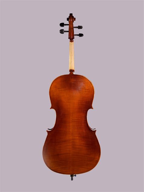 Cellos For Sale Baroque Violin Shop