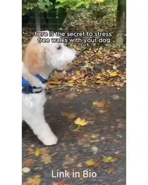 mayank jain on linkedin javascript java development sql git dataanalytics database dsa