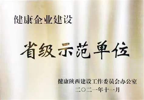 陕西五洲矿业股份有限公司