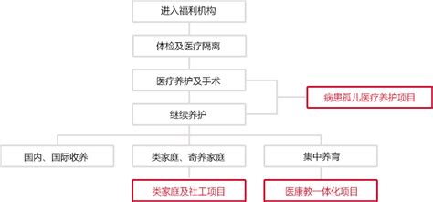项目模式 爱佑新生 爱佑慈善基金会