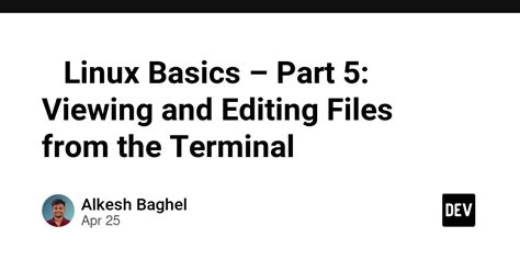 🐧 Linux Basics Part 5 Viewing And Editing Files From The Terminal Dev Community