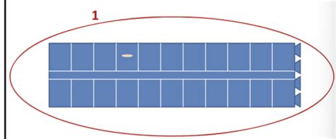 Test Behavior And Physical Exam Flashcards Quizlet