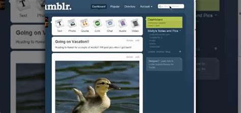 How To Edit Delete And Search Posts On A Tumblr Blog Internet
