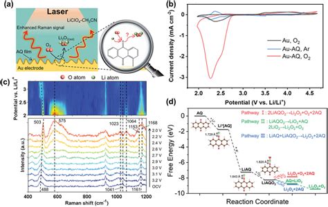 A Schematic Diagram Of In Situ Sers Investigating Aq‐catalyzed Orr At Download Scientific
