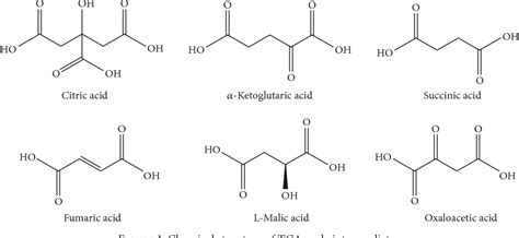 Figure 1 From Development Of A Lc Ms Ms Method For The Simultaneous Detection Of Tricarboxylic