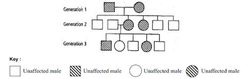 Given Below Is A Pedigree Chart Showing The Inheritance Of A Certain Se