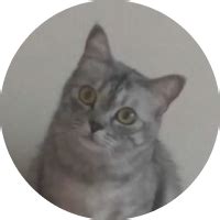 GitHub Codestates Seb Seb43 Main 004