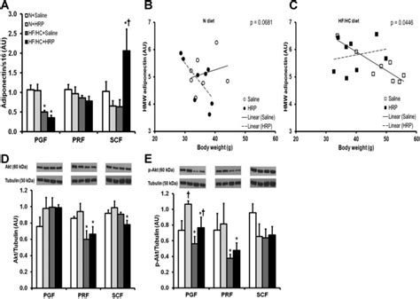 HRP Treatment May Increase Adiponectin And Insulin Signaling In Obese