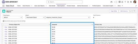 using ai model output in data cloud with prediction jobs salesforce