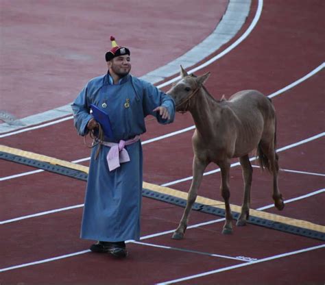 Морьт Монгол улсын заан Доржийн Анарын дэмжигчдийн хуудас