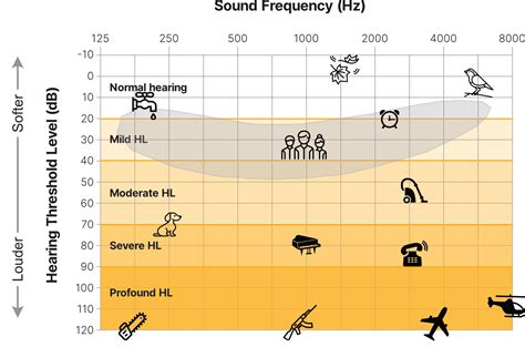 Understanding Your Audiogram What Do Those Results Mean