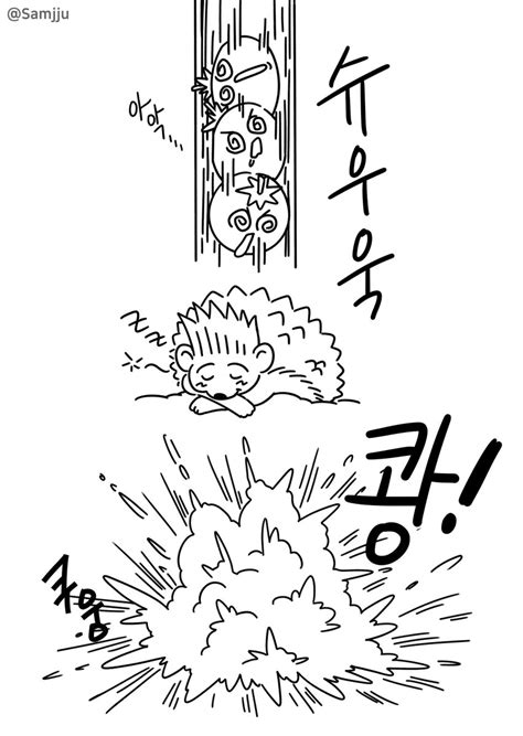 삼쭈 On Twitter 🦔고슴도치토마토의 만남🍅