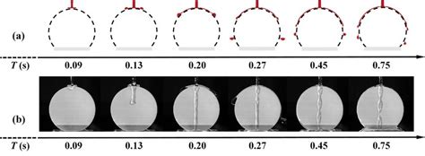 Transient Evolution Of The Spreading Contours Of Solution C In The Download Scientific Diagram