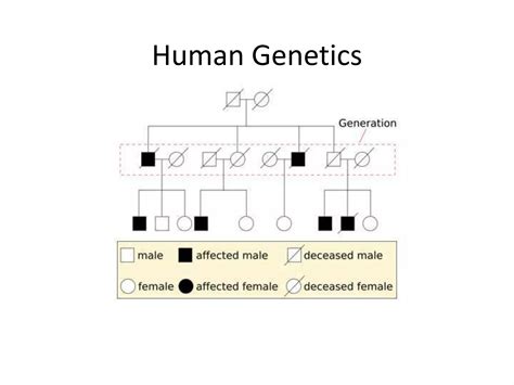Human Genetic Inheritance Patterns Pptx