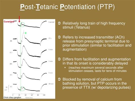 Ppt Synaptic Plasticity Powerpoint Presentation Free Download Id307059