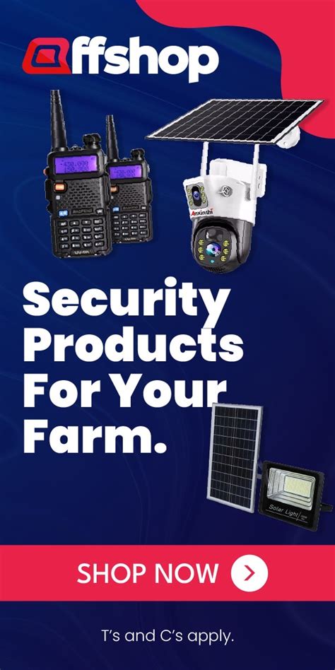 Sheep And Wool Production Unraveling South Africas Wool Industry Farmers Magazine